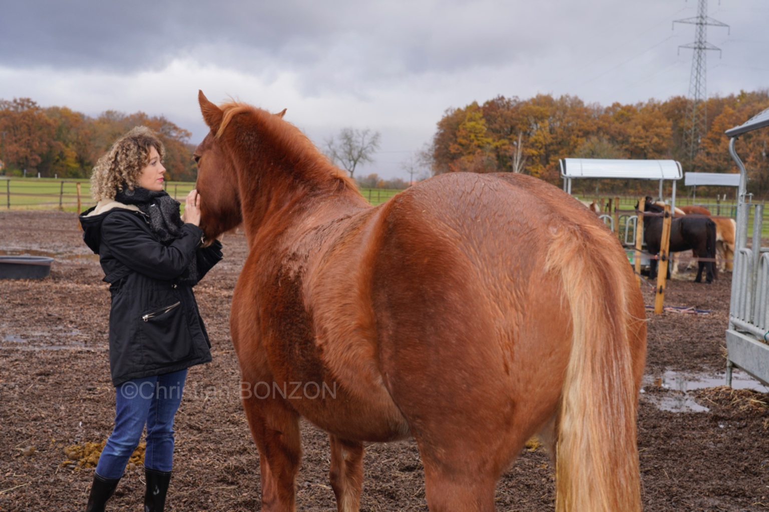 Communication animale - LacTU